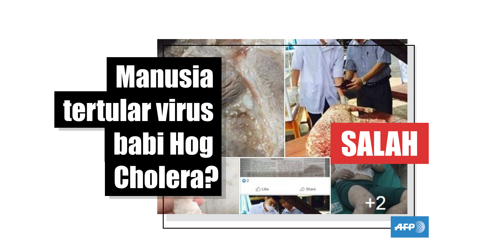 Ini adalah foto-foto pasien yang terinfeksi cacing pita babi setelah ...